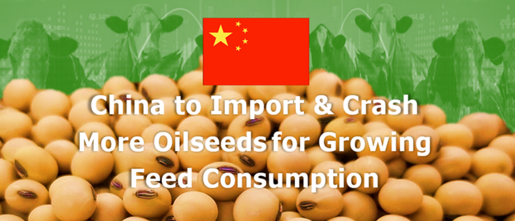 China’s soybean imports reaching new record high in 2025
