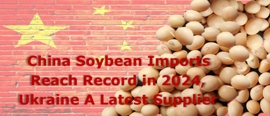 China’s soybean imports reaching new record high in 2025