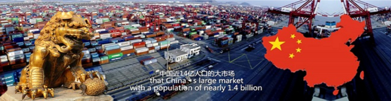Chinese Importers - What will import to China?