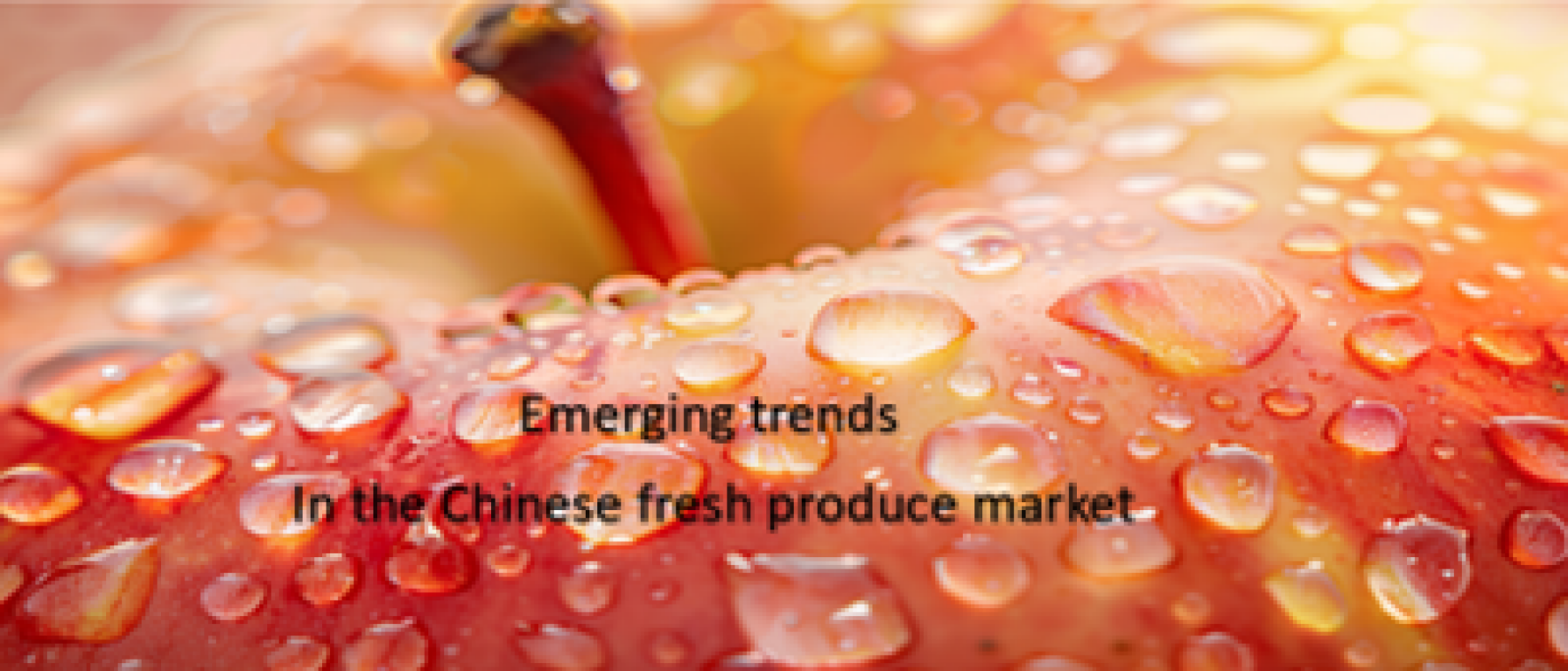 Emerging trends in the Chinese fresh produce market