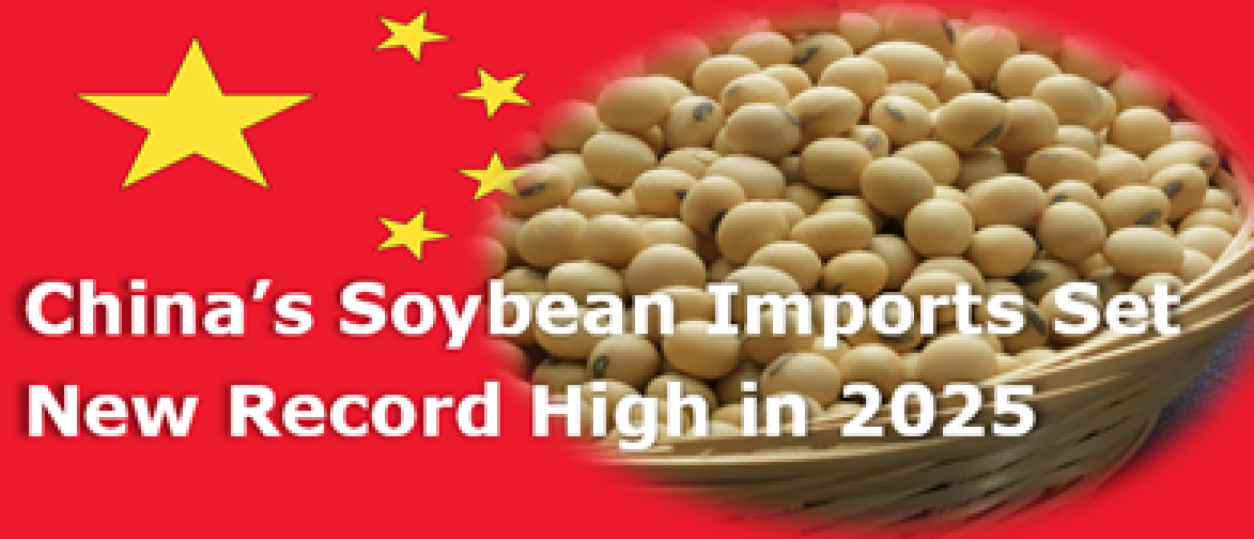 China’s soybean imports reaching new record high in 2025