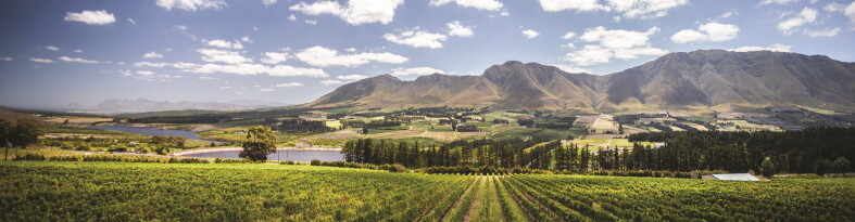 Overberg Zuid Afrika | Informatie | Exclusive Culitravel