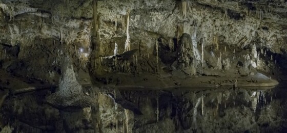 Zuid-Moravië | Moravische Karst en omgeving
