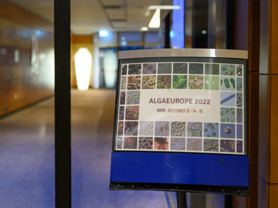 AlgaEurope 2022: Photo Gallery