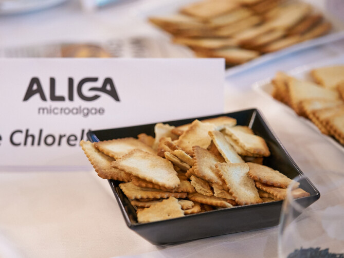 Algae Happy Hour