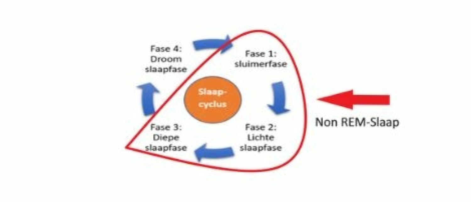 Wat is Non REM-slaap?