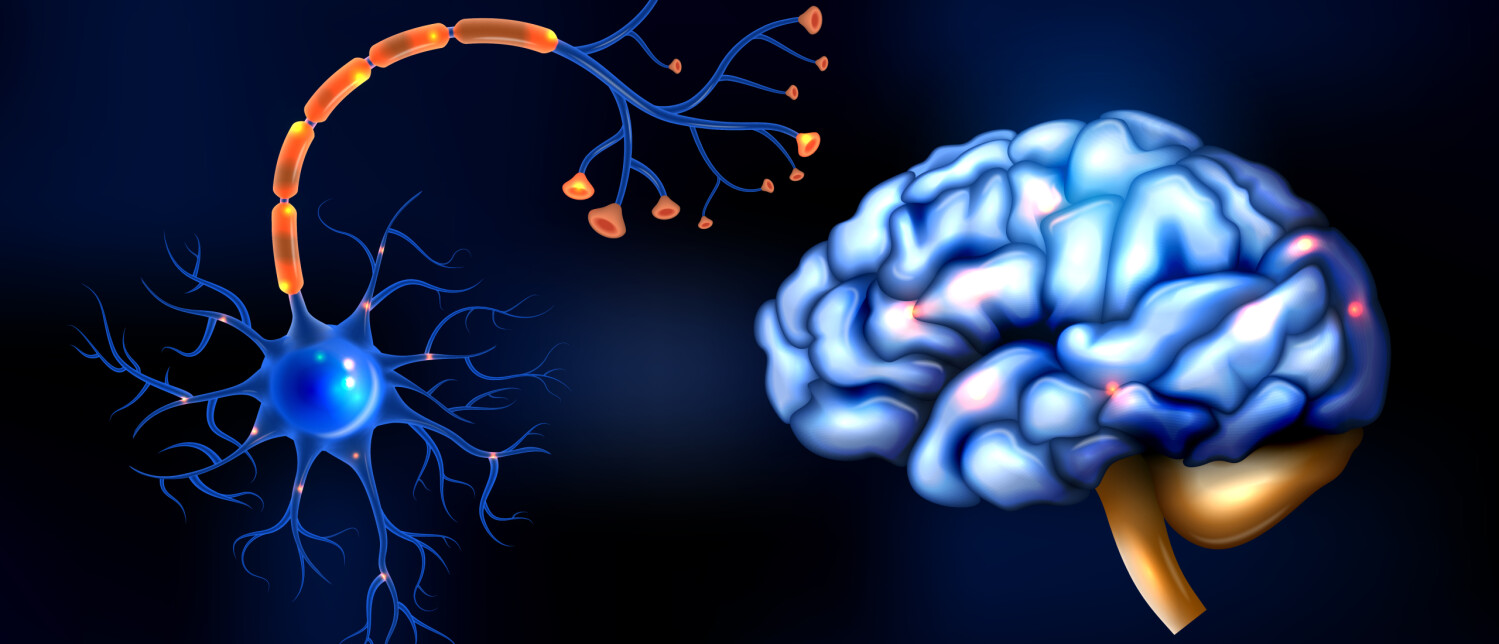 Wat zijn neurotransmitters?
