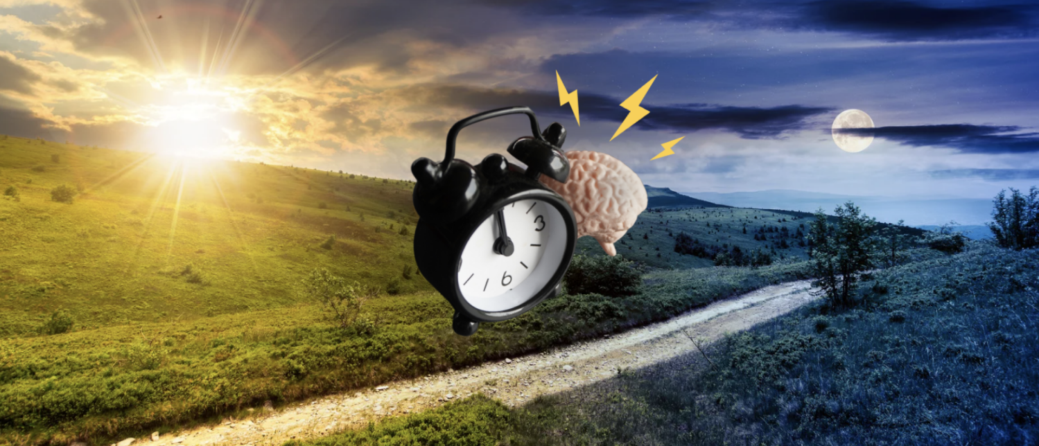 Wat is een circadiane ritmestoornis?