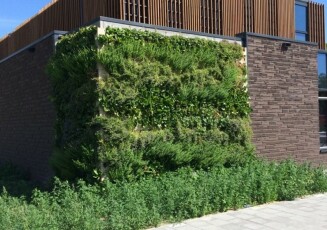 Wat zijn groene gevels?