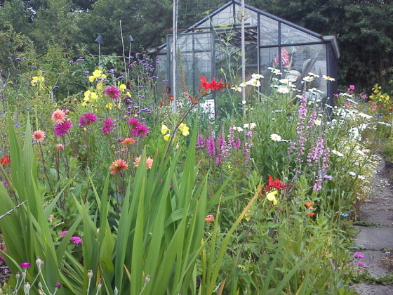 Maak je eigen moestuinplan online cursus