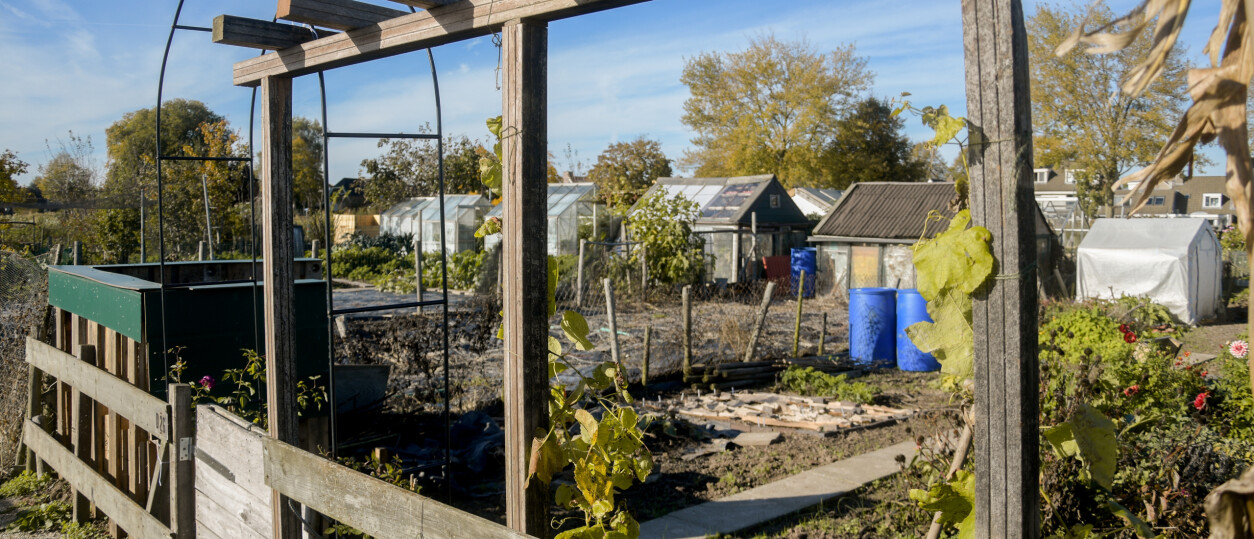 De voor-en nadelen van verhoogde moestuinbakken