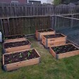Moestuinbak maken: waar kun je uit kiezen?