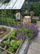 Moestuinbak maken: waar kun je uit kiezen?