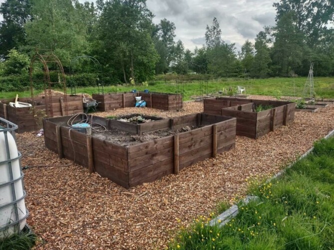 Moestuinbak maken: waar kun je uit kiezen?