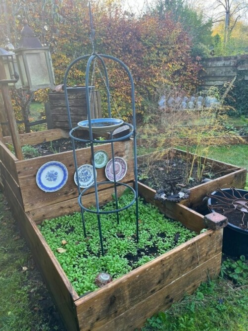 Moestuinbak maken: waar kun je uit kiezen?