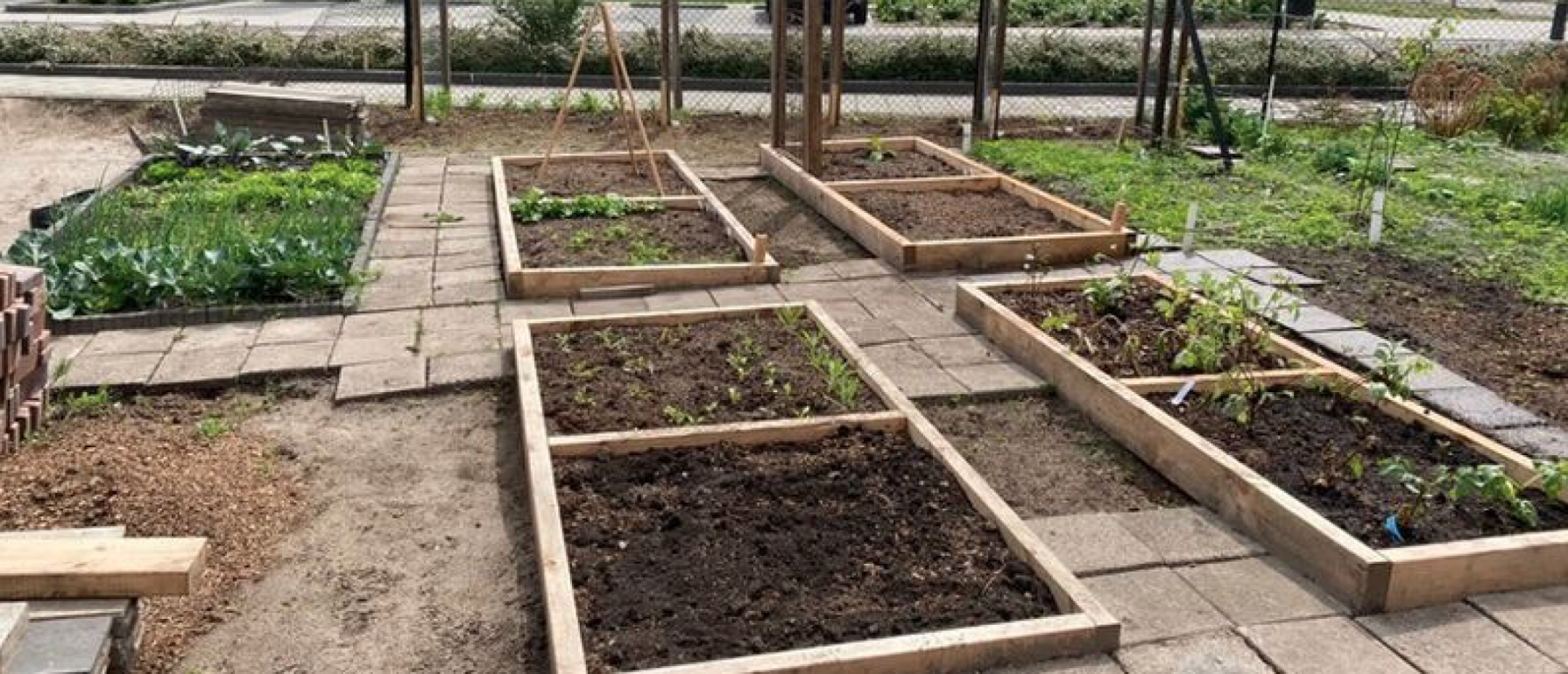 No Dig methode: Wat is het en wat zijn de do’s en don’ts