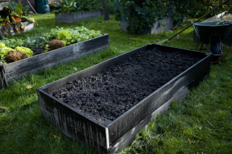 De voor-en nadelen van verhoogde moestuinbakken