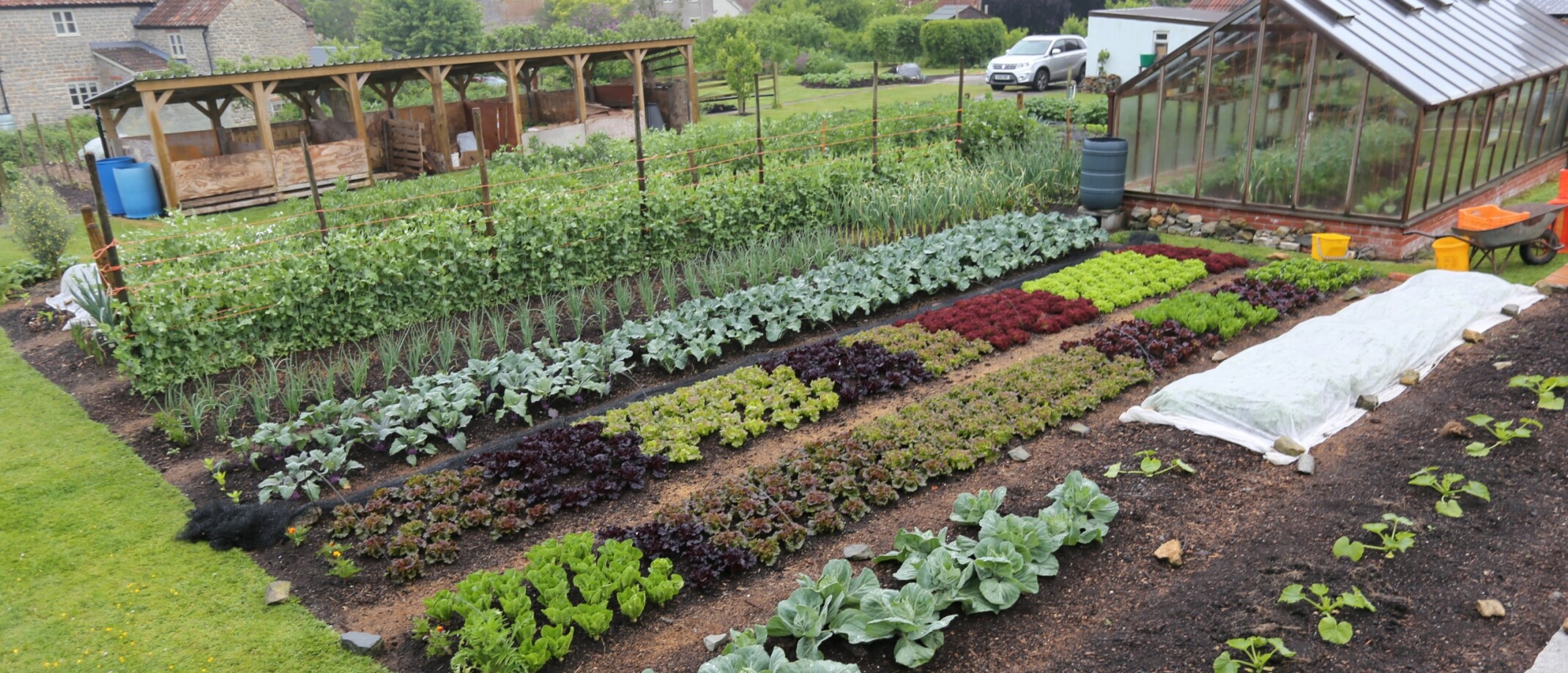 No Dig methode: Wat is het en wat zijn de do’s en don’ts