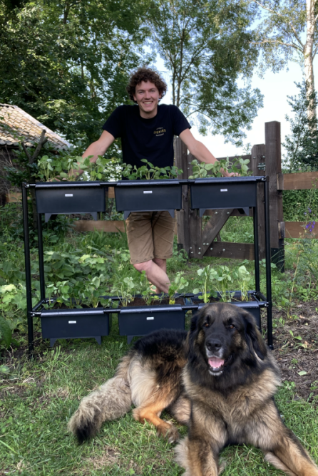 Aardbeien kweken in de moestuin - 11 veelgestelde vragen