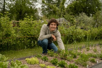 Moestuin Advies - Oogsten uit eigen tuin