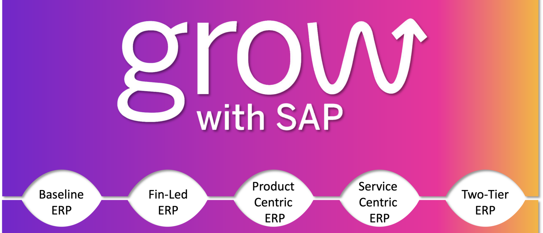 Grow-with-SAP: Service aanbod om snel te starten met SaaS-ERP