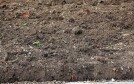 Verschillende grondsoorten bewerken en verbeteren