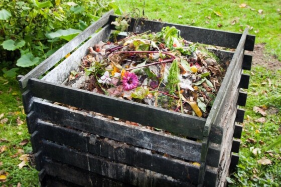 Compost of mest, wat is de juiste en de beste keuze
