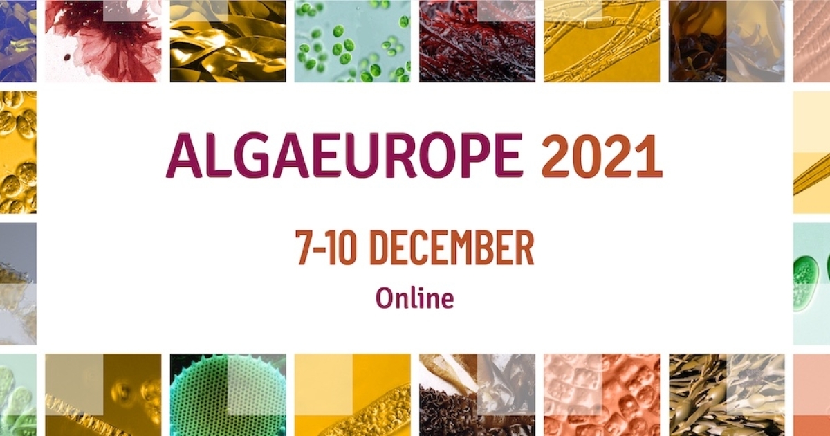 AlgaEurope 2021 Organisers