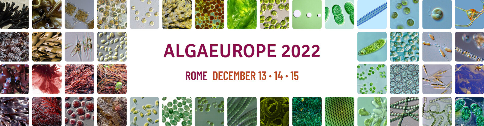 AlgaEurope 2022 Poster Presentations