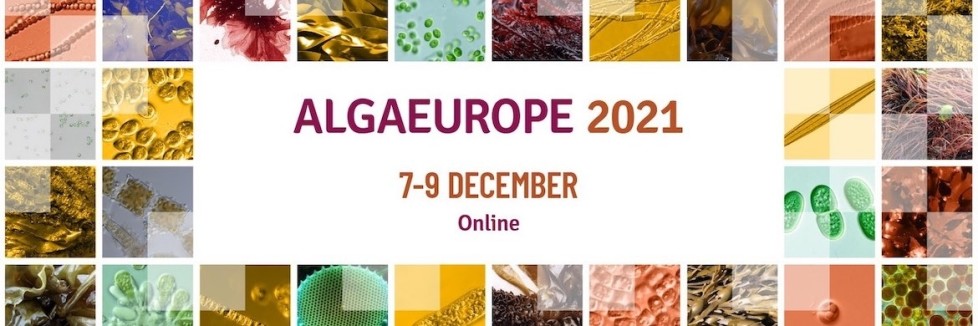 AlgaEurope 2021