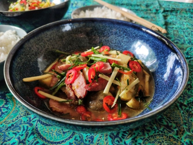 Geng pet pa recept (Thaise jungle curry)