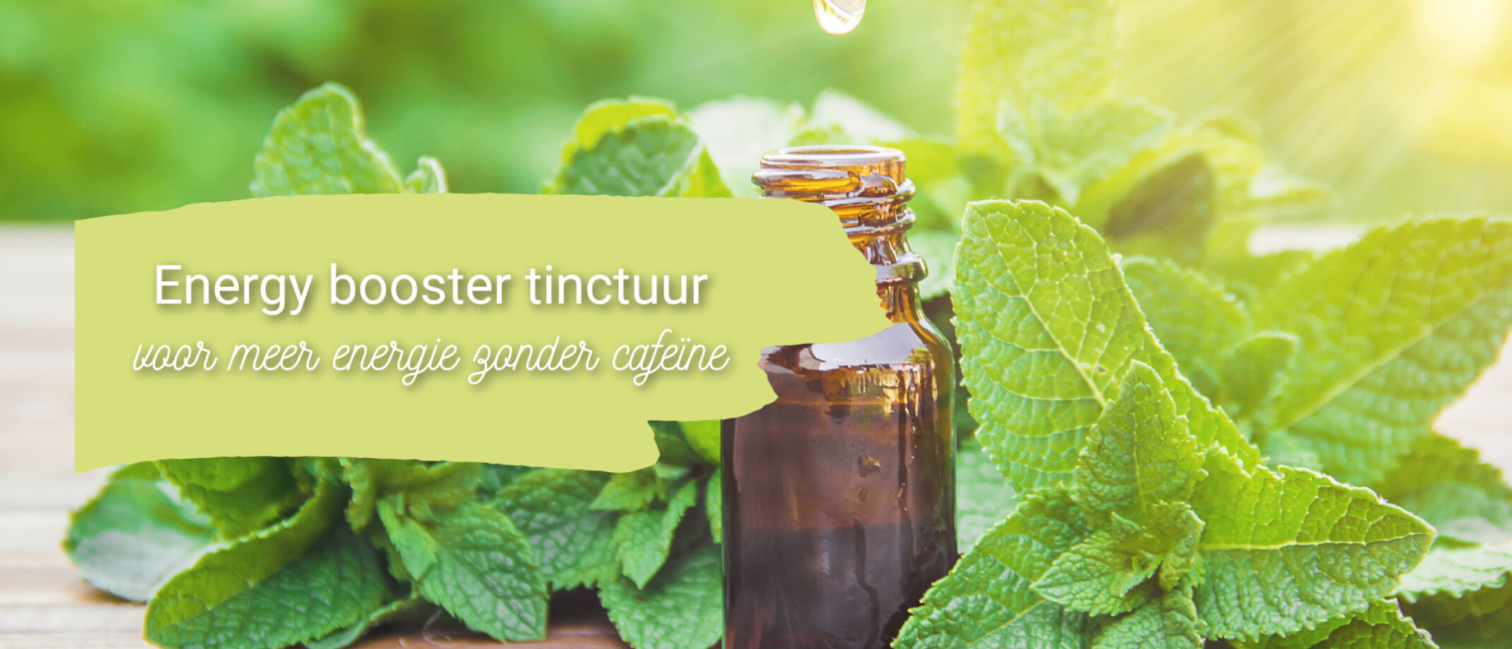 Energy booster tinctuur, voor meer energie zonder cafeïne