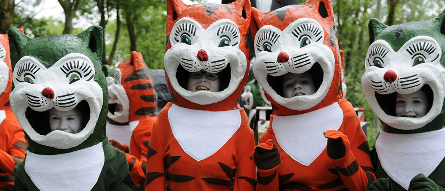 Kattenstad Ieper zonder kattenstoet in 2022