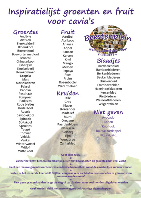 Lijst met groente, fruit, kruiden en bladeren voor cavia's