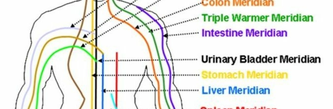 Wat zijn meridianen?
