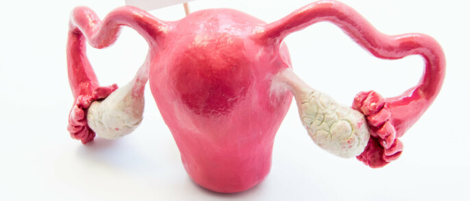 Vleesboom en de overgang: wat heeft dit met elkaar te maken?