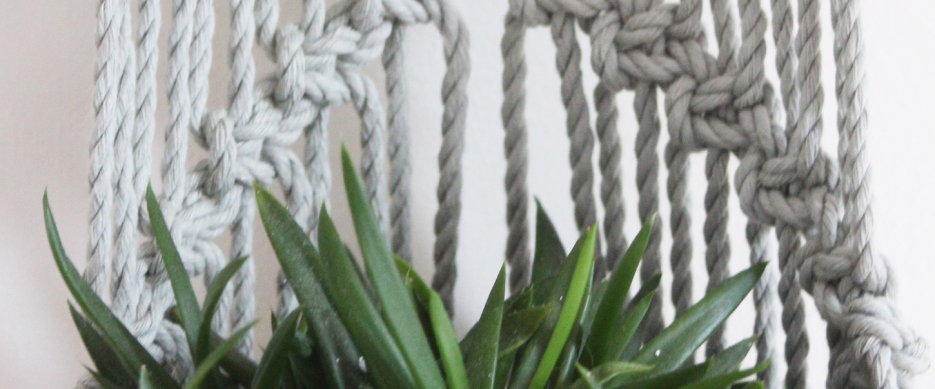Macramé Wand Plantenhanger Maken: Toffe Variatie Plantenhanger
