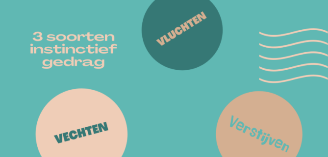 Het Cruciale Verschil Tussen Instinctief Handelen En intuitie