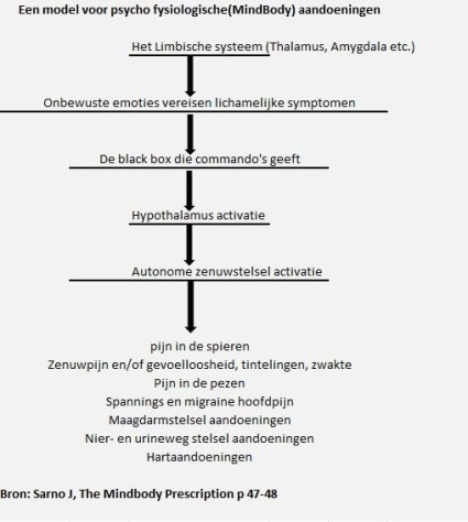 Zenuwpijn rug: Oorzaak nummer 1 en behandeling weten? Ontdek het!