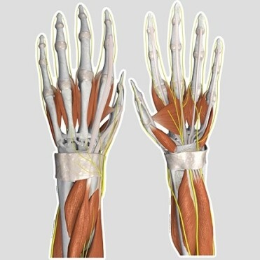 Alles over pijn in de pols- oorzaken en behandeling