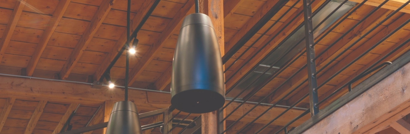 Wat is een Pendel Speaker? - Business Audio Systems