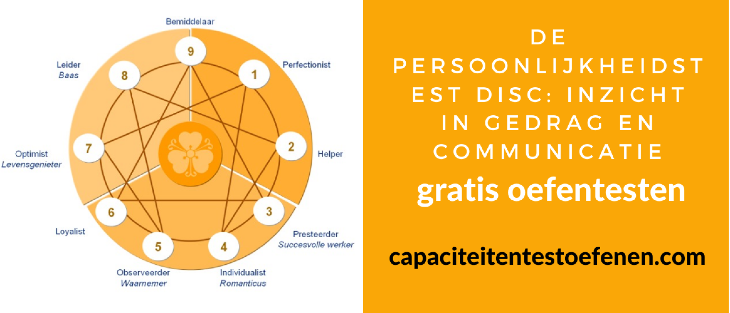 Syllogismen Oefenen? | GRATIS Oefeningen (+ Uitleg en Tips)