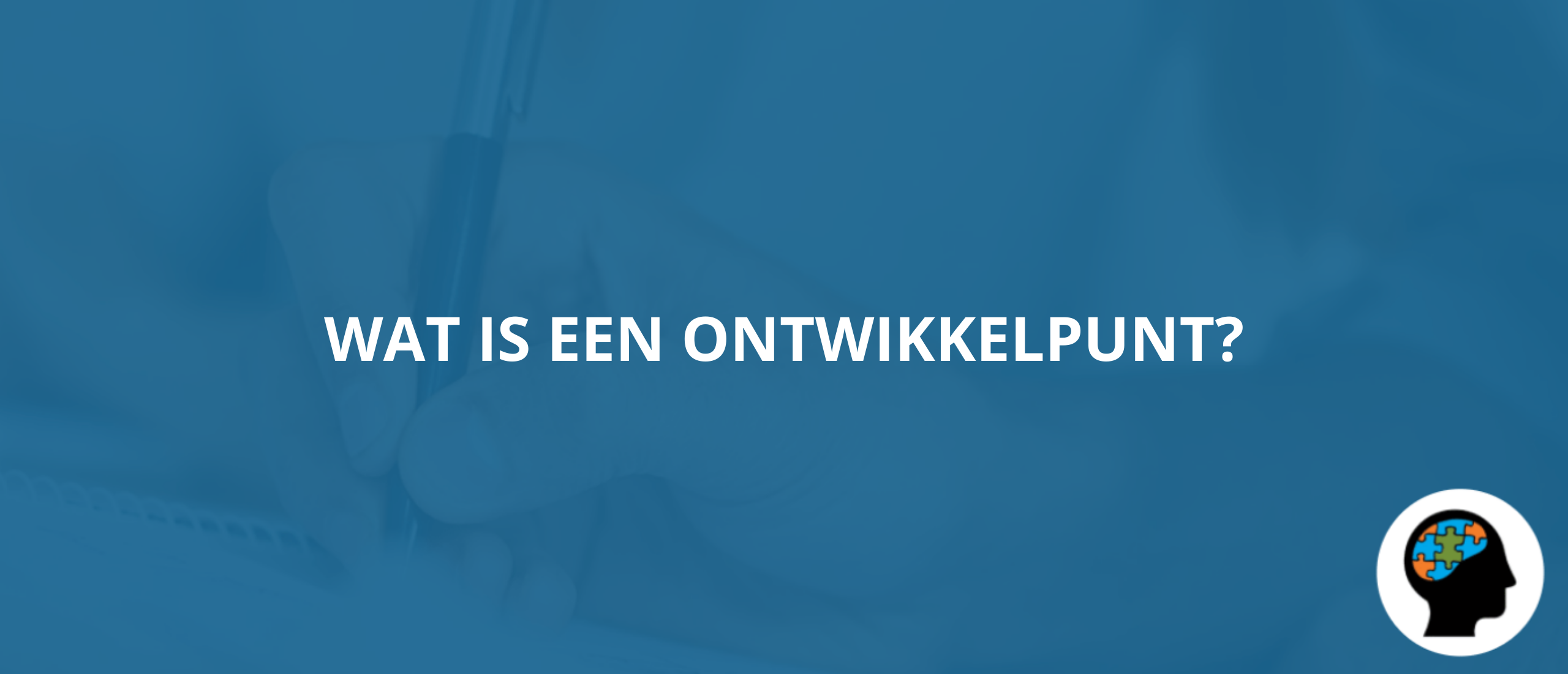 Wat is Ontwikkelpunt?|Ga Voorbereid het Assessment in!