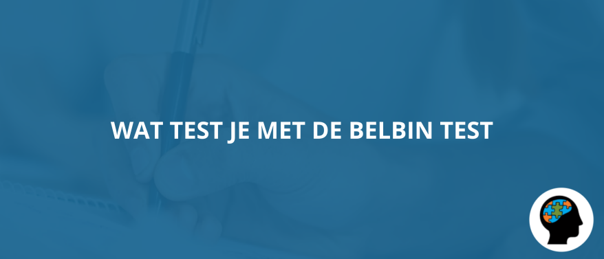 Wat test je met de Belbin test? Lees hier voor de Uitleg en de ...