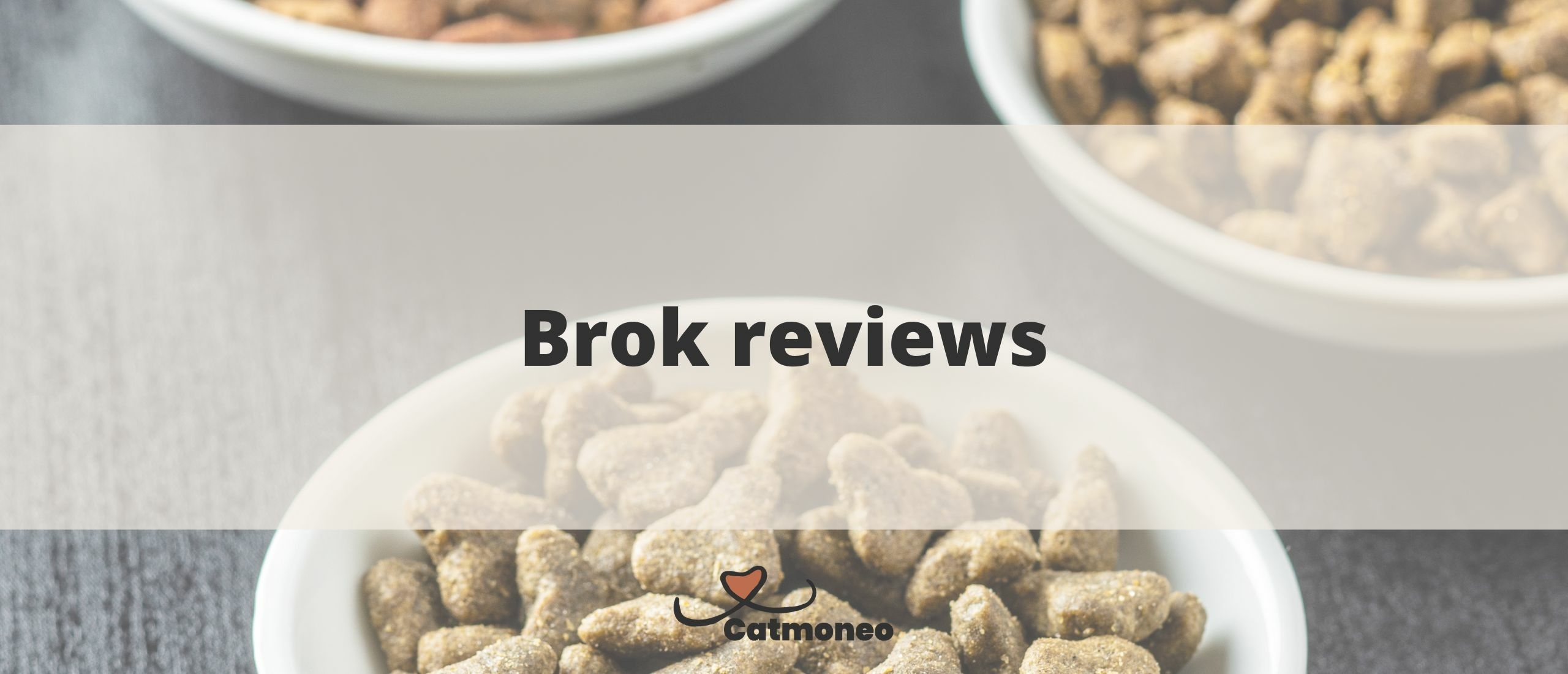 Review kattenbrokjes