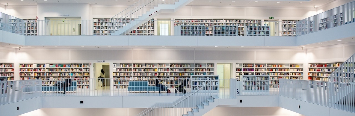 Kennis en Vaardigheden Matrix