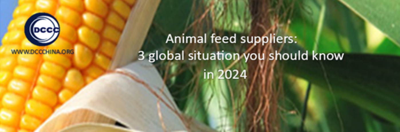 Animal feed suppliers: 3 global situation you should know 2024