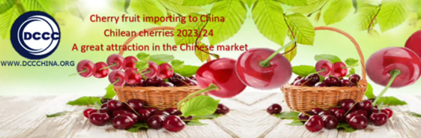 Chilean cherries 2023/24 imported to China arrived in Shanghai