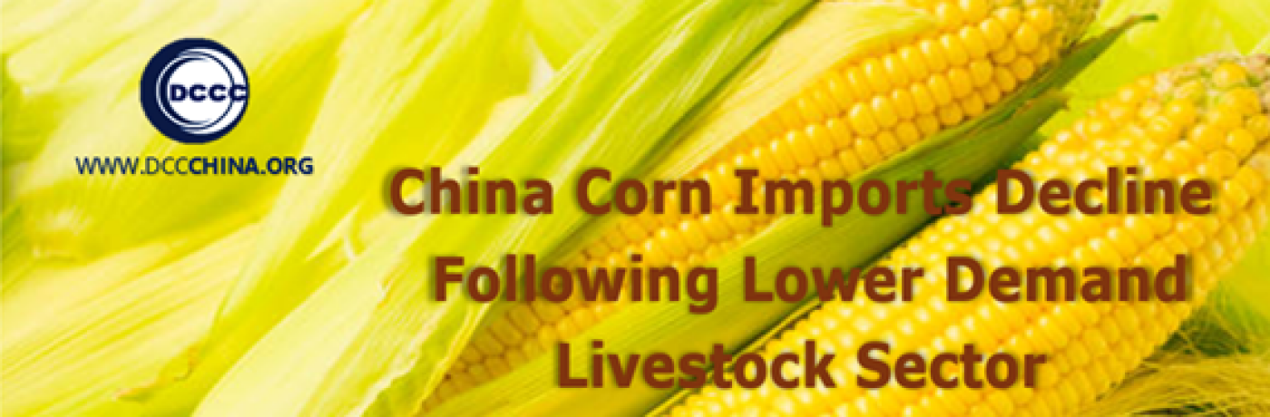 China corn imports decline following lower demand livestock sector