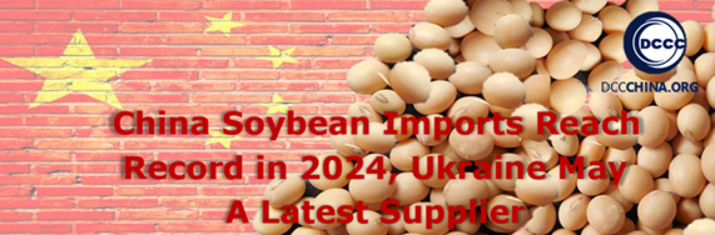 China soybean imports reach record in 2024, Ukraine as latest supplier